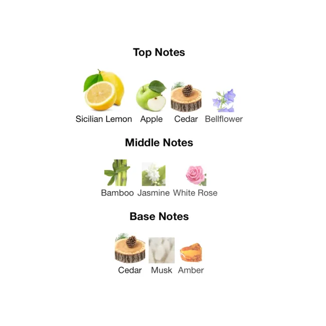 Buy Escape Intense Eau De Parfum | Coral Perfumes